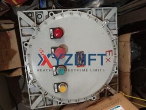 How many points of warehouse cargo lift can be customized? - Reliable ...